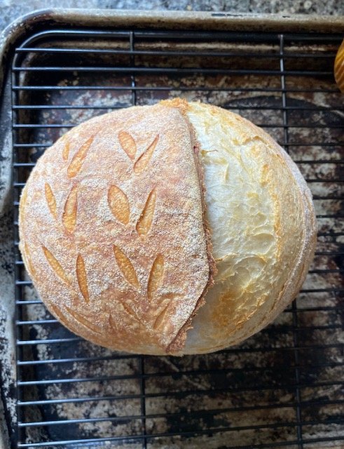 Sourdough Artisan Boule Mini - Merrie's Family Kitchen